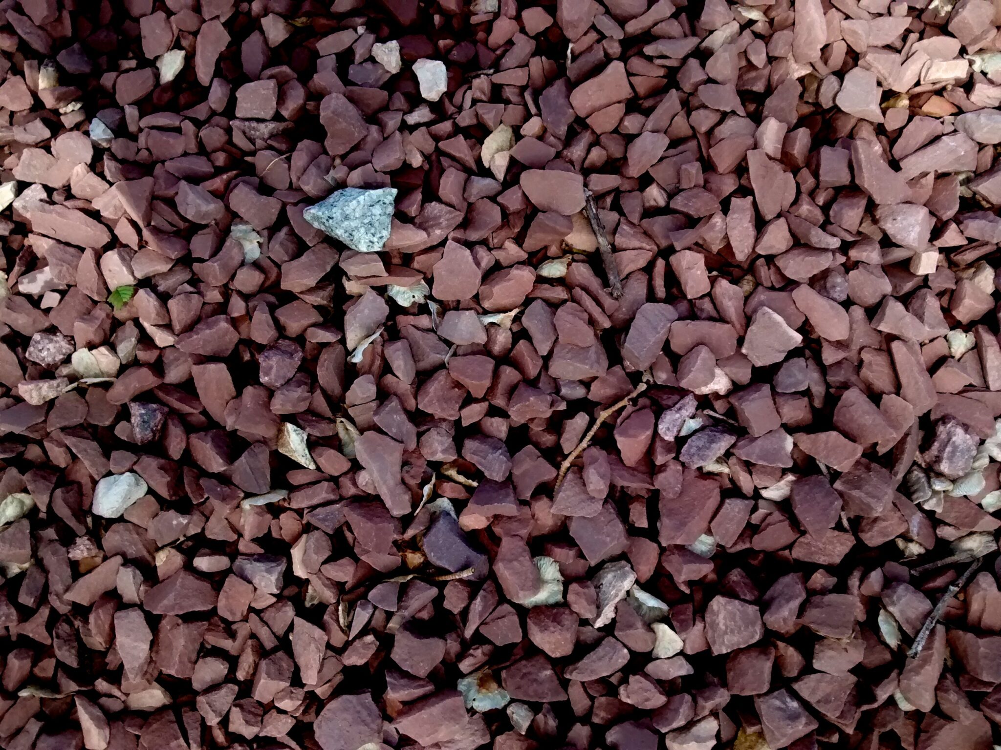 Decorative Rock | Montano Sand and Gravel and Septic Tanks
